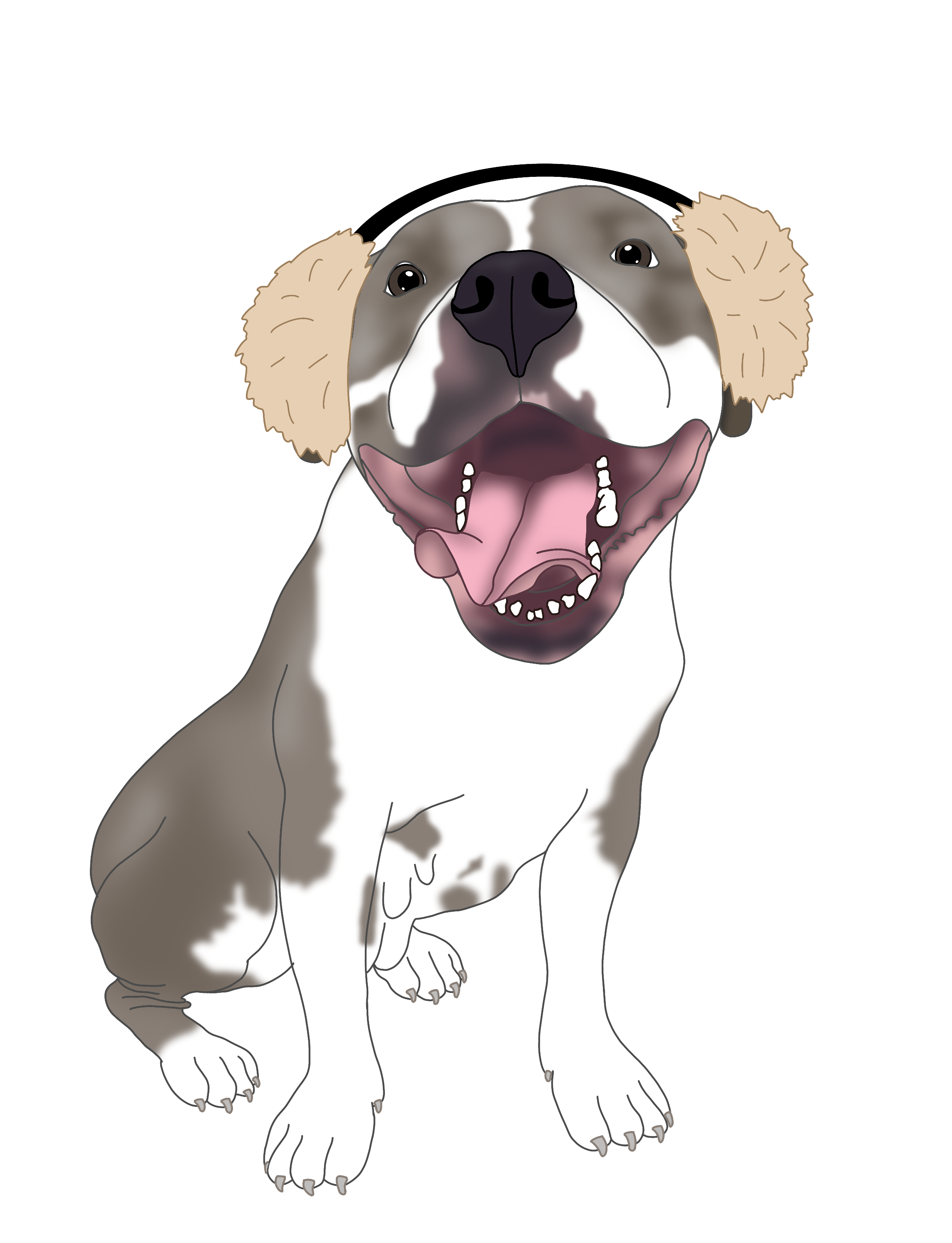 Love-A-Bull – Pet Obsessed People