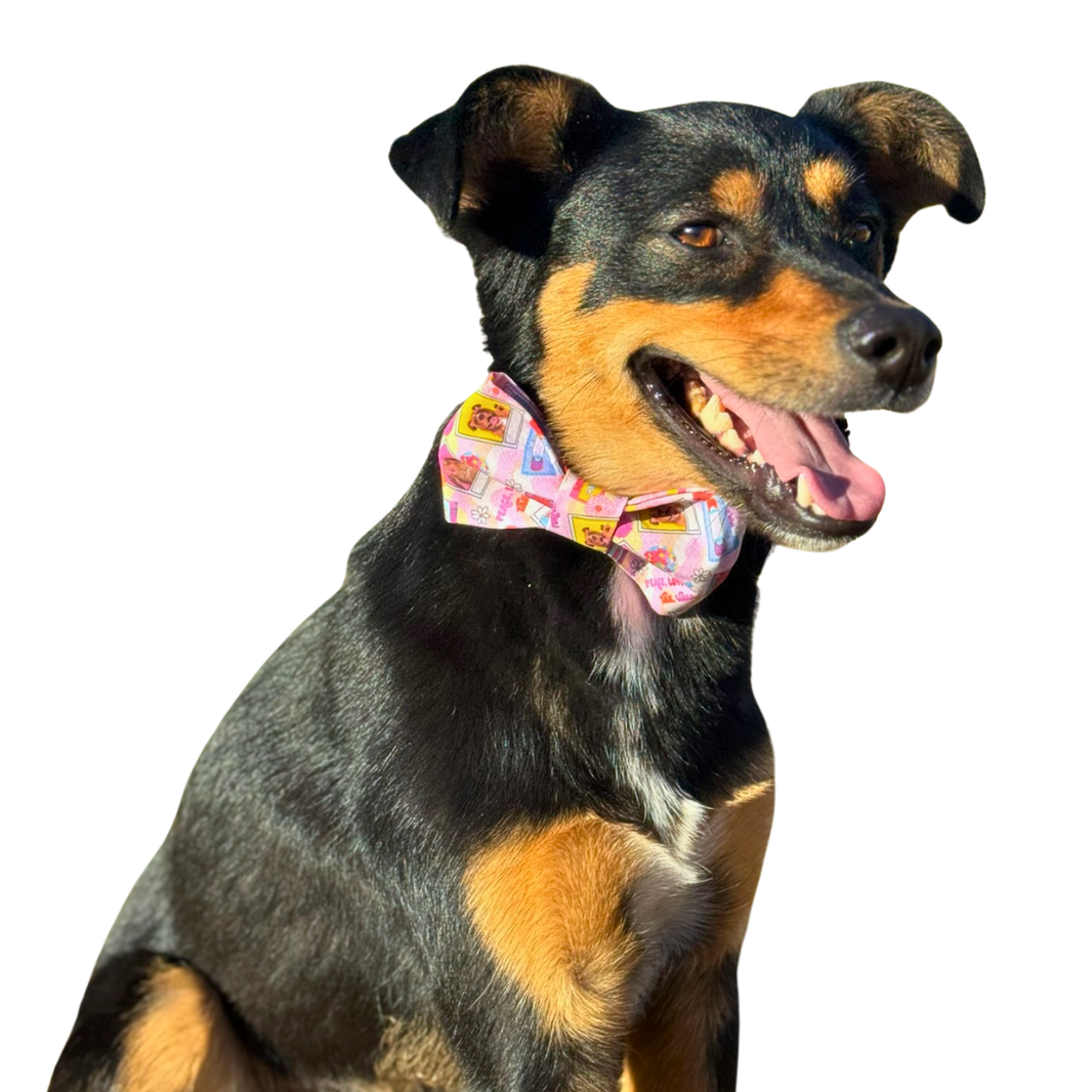 Pet Obsessed People - A shop for people obsessed with their pets