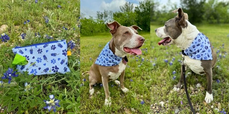 Pet Obsessed Shirts, Stickers, Greeting Cards, Custom Pet Portraits ...