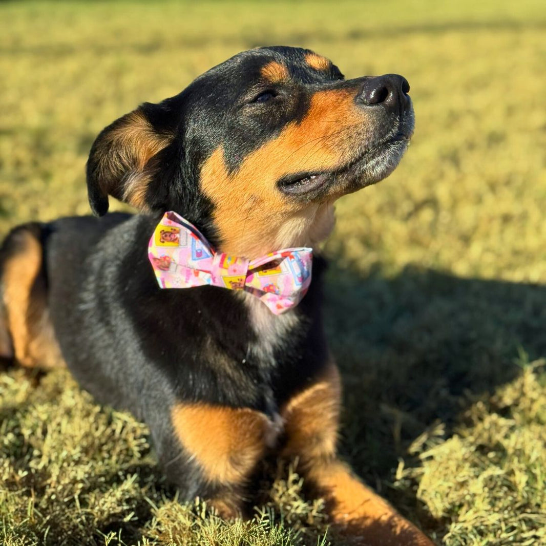 Pet Obsessed People - A shop for people obsessed with their pets